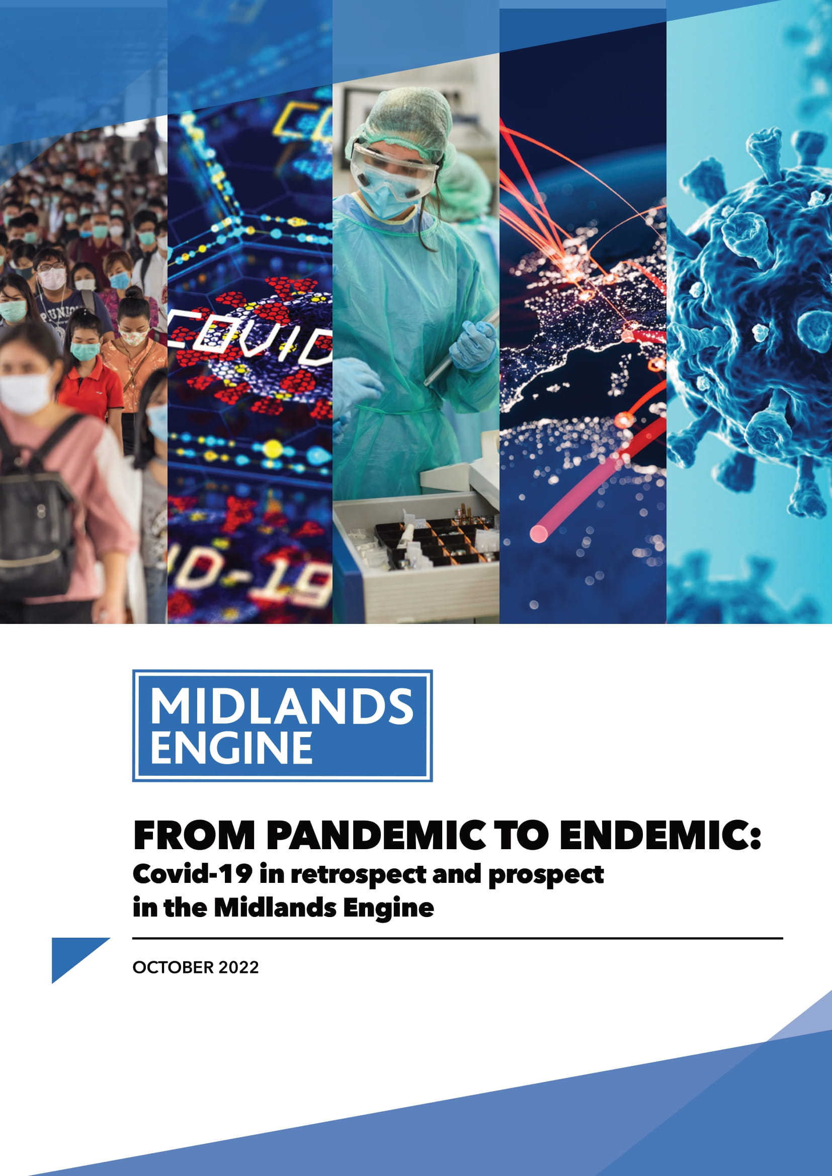 From Pandemic to Endemic: COVID-19 in Retrospect and Prospect in the ...